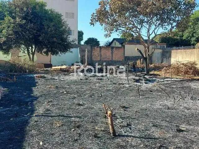 Terreno / Lote para Venda em Uberlândia/MG Presidente Roosevelt