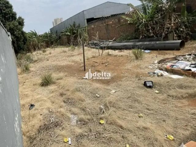 Terreno / Lote para Venda em Uberlândia/MG Presidente Roosevelt