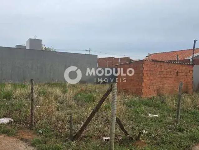 Terreno / Lote para Venda em Uberlândia/MG Residencial Fruta do Conde