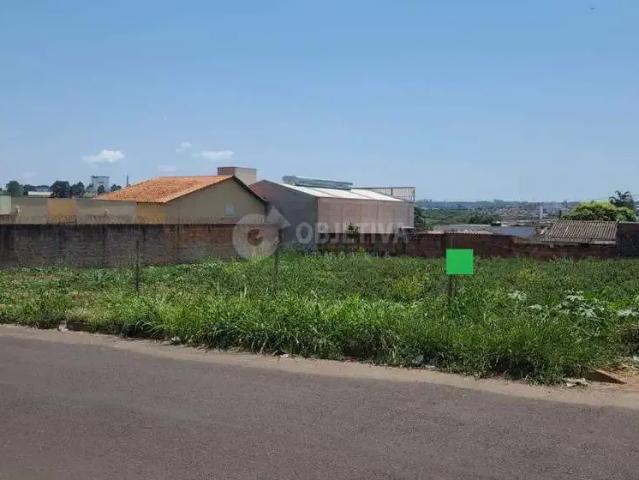 Terreno / Lote para Venda em Uberlândia/MG Taiaman