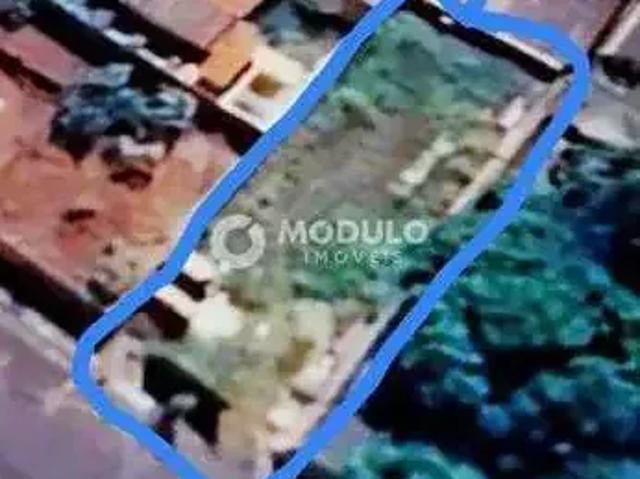 Terreno / Lote para Venda em Uberlândia/MG Tubalina
