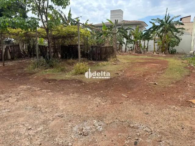 Terreno / Lote para Venda em Uberlândia/MG Tubalina