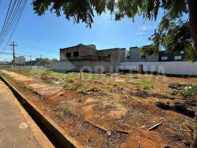 Terreno / Lote para Venda em Uberlândia/MG Vida Nova