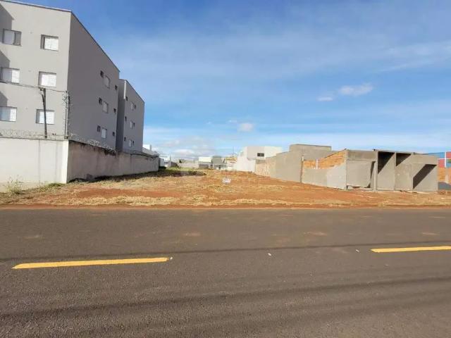 Terreno / Lote para Venda em Uberlândia/MG Vida Nova