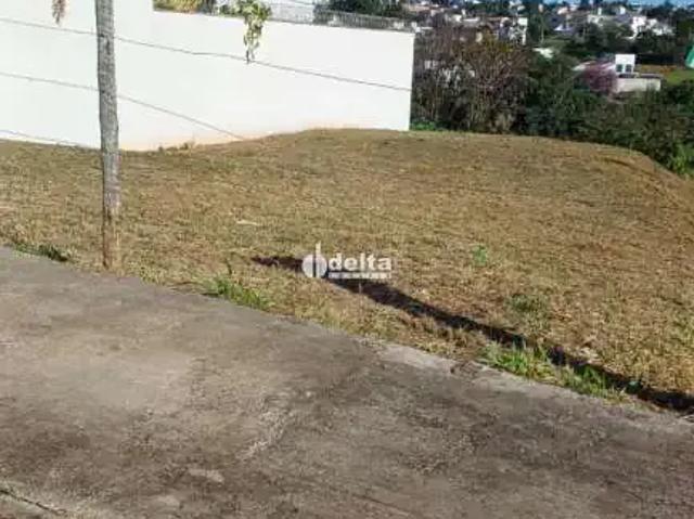 Terreno / Lote para Venda em Uberlândia/MG Vigilato Pereira