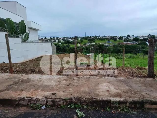 Terreno / Lote para Venda em Uberlândia/MG Vigilato Pereira