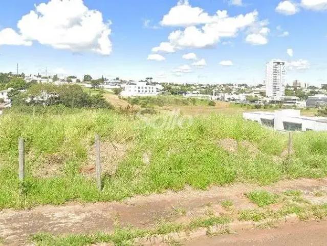 Terreno / Lote para Venda em Uberlândia/MG Vigilato Pereira