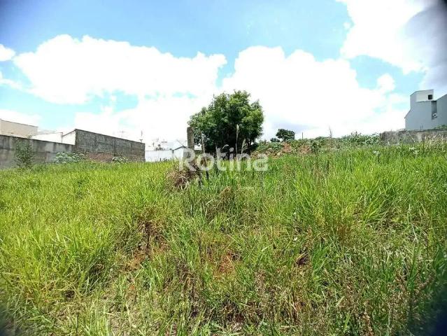 Terreno / Lote para Venda em Uberlândia/MG Vigilato Pereira
