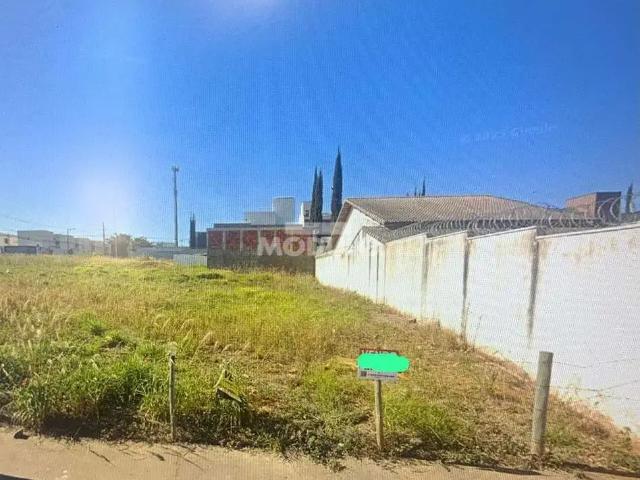 Terreno / Lote para Venda em Uberlândia/MG Vigilato Pereira