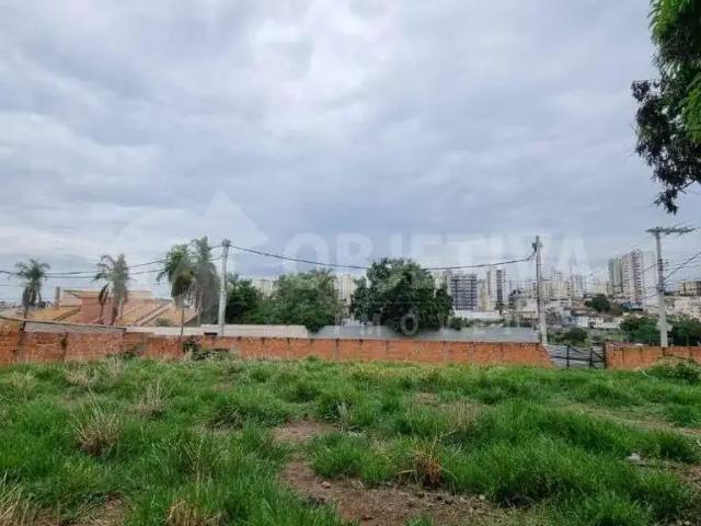 Terreno / Lote para Venda em Uberlândia/MG Vigilato Pereira