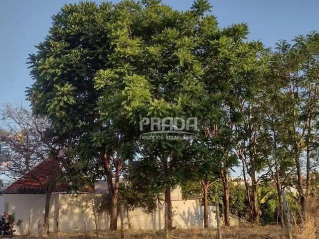 Terreno / Lote para Venda em Uberlândia/MG Vigilato Pereira