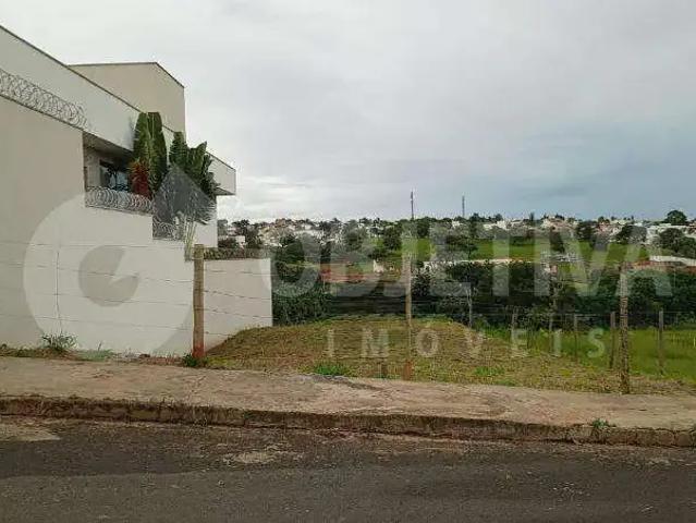 Terreno / Lote para Venda em Uberlândia/MG Vigilato Pereira