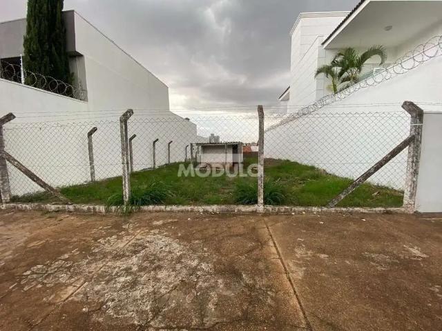 Terreno / Lote para Venda em Uberlândia/MG Vigilato Pereira