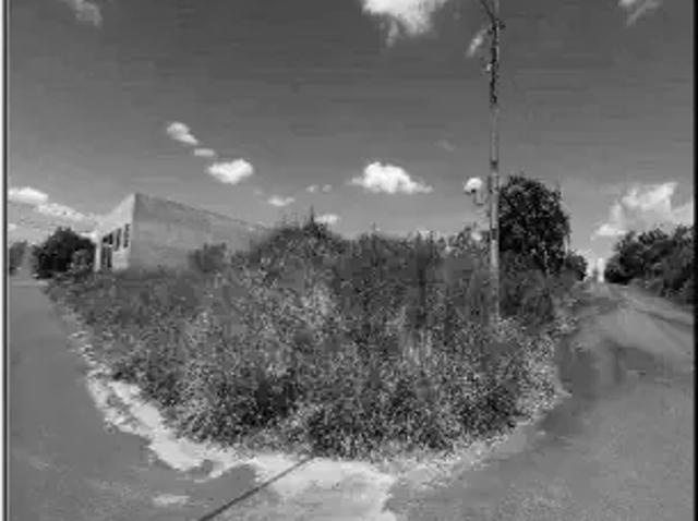 Terreno / Lote para Venda em Umuarama/PR Parque Firenze