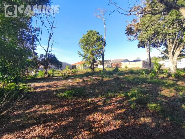 Terreno / Lote para Venda em União da Vitória/PR Bom Jesus