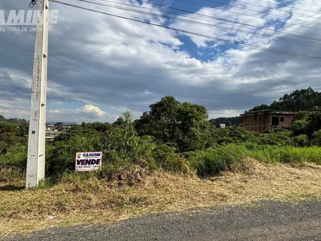 Terreno / Lote para Venda em União da Vitória/PR Jardim Muzzolon