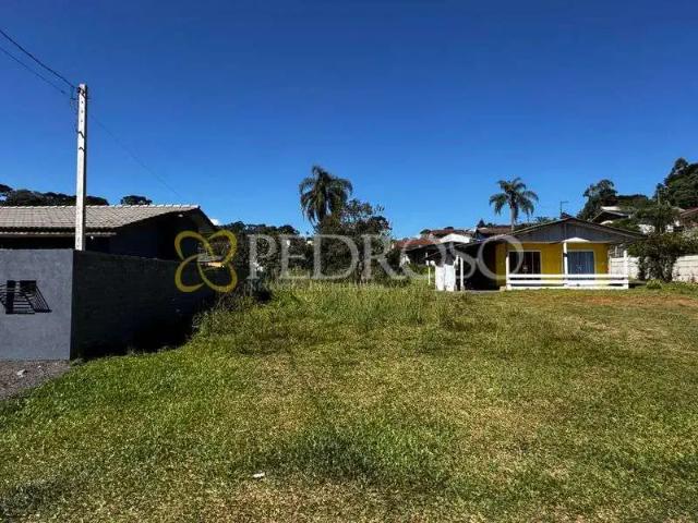 Terreno / Lote para Venda em União da Vitória/PR São Gabriel