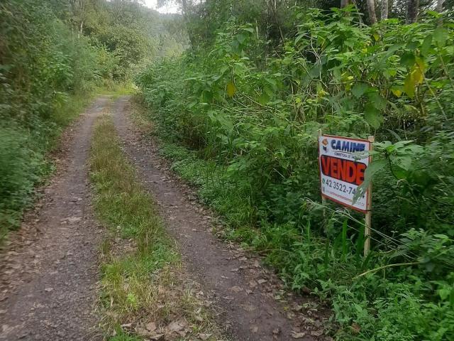 Terreno / Lote para Venda em União da Vitória/PR São Sebastião