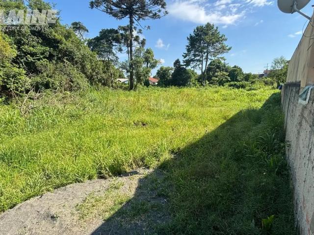 Terreno / Lote para Venda em União da Vitória/PR Sagrada Família