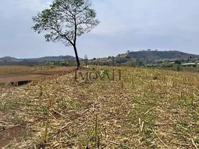 Terreno / Lote para Venda em Uraí/PR Zona Rural