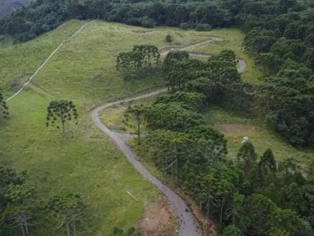 Terreno / Lote para Venda em Urubici/SC Centro