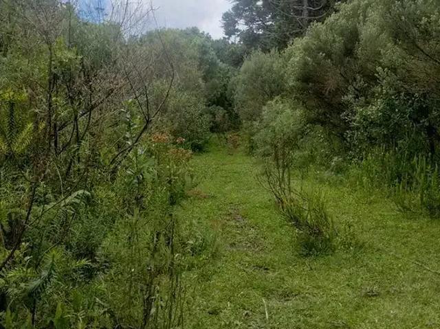 Terreno / Lote para Venda em Urubici/SC Águas Brancas