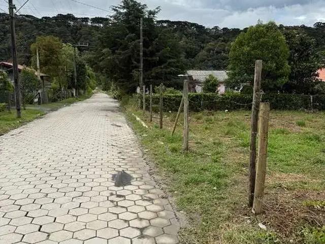 Terreno / Lote para Venda em Urubici/SC Águas Brancas