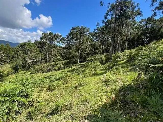 Terreno / Lote para Venda em Urubici/SC Baiano