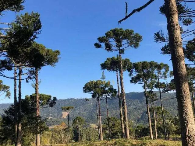 Terreno / Lote para Venda em Urubici/SC Invernador