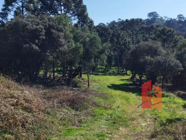 Terreno / Lote para Venda em Urubici/SC Mundo Novo