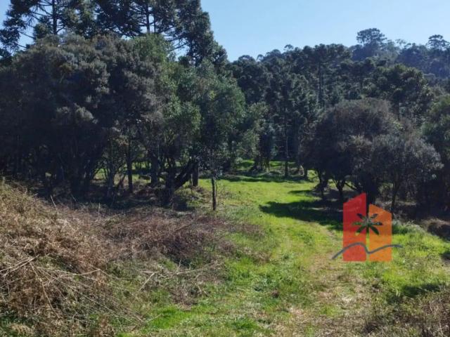 Terreno / Lote para Venda em Urubici/SC Mundo Novo