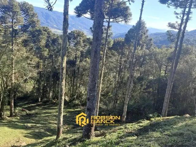 Terreno / Lote para Venda em Urubici/SC Santa Tereza