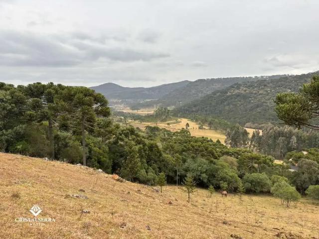 Terreno / Lote para Venda em Urubici/SC Zona Rural