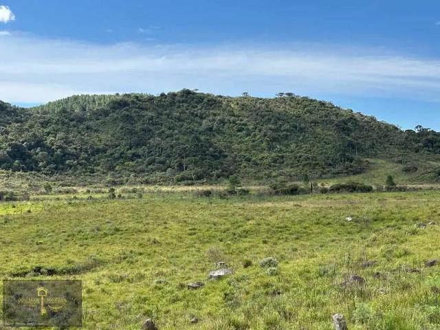 Terreno / Lote para Venda em Urubici/SC Zona Rural