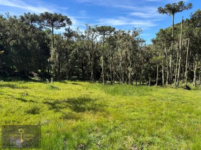 Terreno / Lote para Venda em Urubici/SC Zona Rural