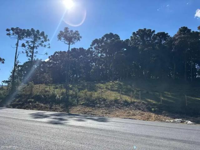 Terreno / Lote para Venda em Urubici/SC Zona Rural