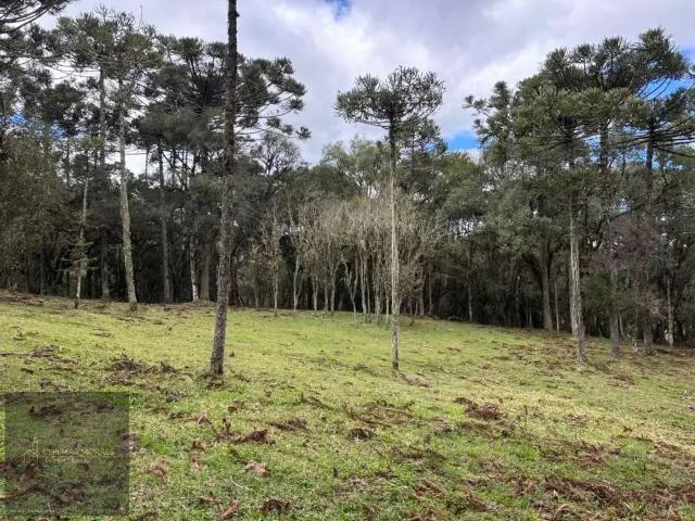Terreno / Lote para Venda em Urubici/SC Zona Rural