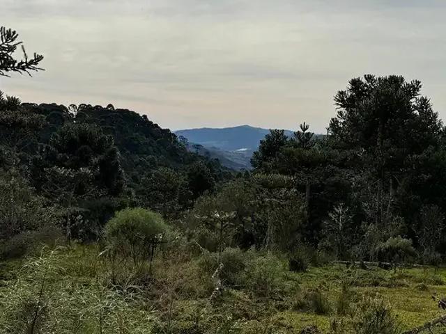 Terreno / Lote para Venda em Urubici/SC Zona Rural