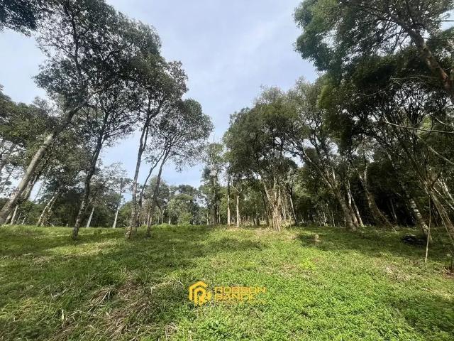 Terreno / Lote para Venda em Urubici/SC Zona Rural