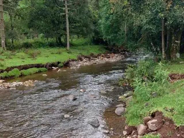 Terreno / Lote para Venda em Urubici/SC Zona Rural