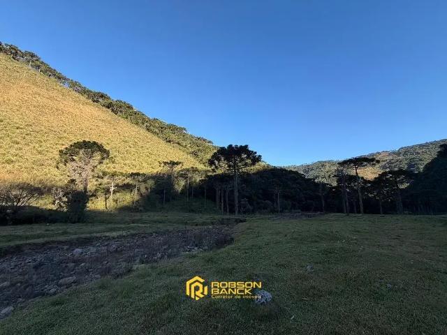Terreno / Lote para Venda em Urubici/SC Zona Rural