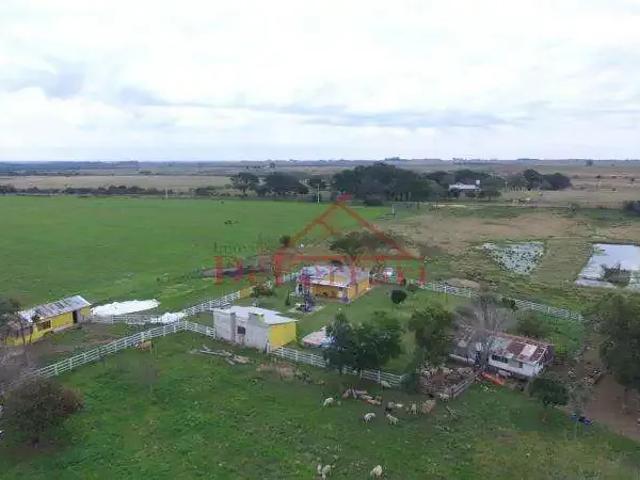 Terreno / Lote para Venda em Uruguaiana/RS Imbaá