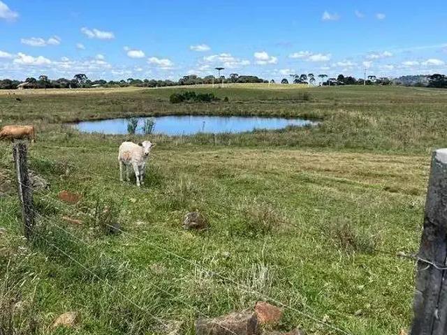 Terreno / Lote para Venda em Urupema/SC Zona Rural