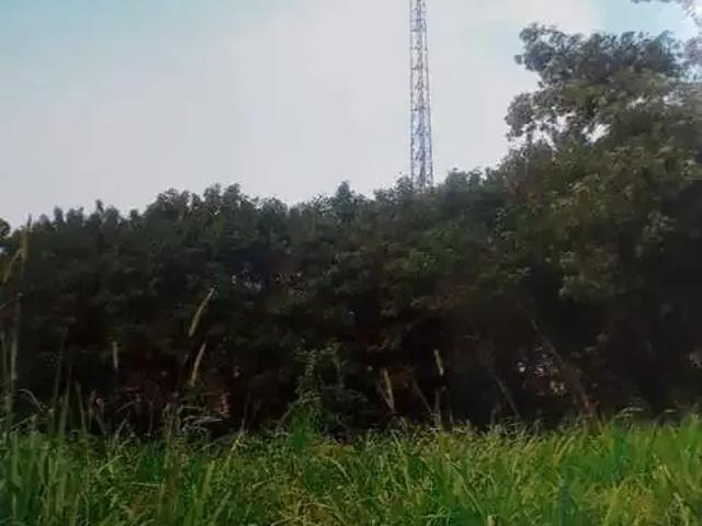 Terreno / Lote para Venda em Valinhos/SP Ortizes