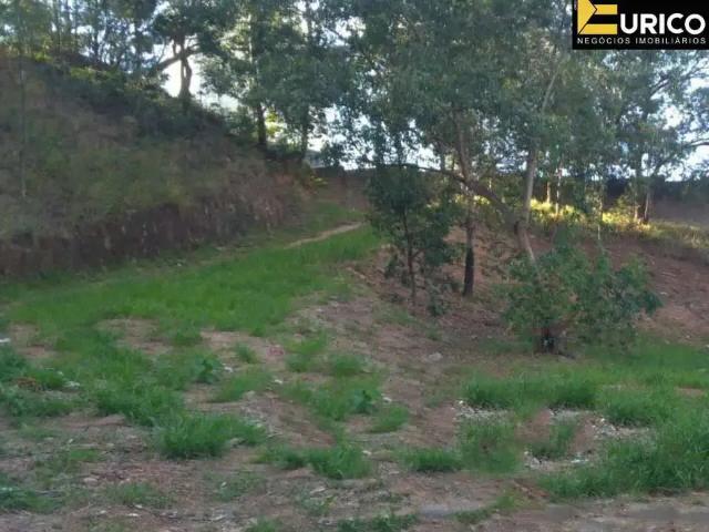 Terreno / Lote para Venda em Valinhos/SP Bosque dos Eucaliptos
