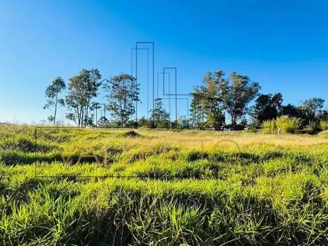 Terreno / Lote para Venda em Valinhos/SP Chácaras Alpina