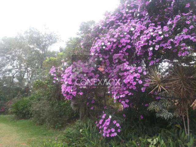 Terreno / Lote para Venda em Valinhos/SP Chácaras Alpina