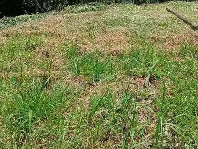 Terreno / Lote para Venda em Valinhos/SP Chácaras São Bento