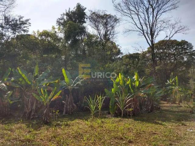 Terreno / Lote para Venda em Valinhos/SP Dois Córregos