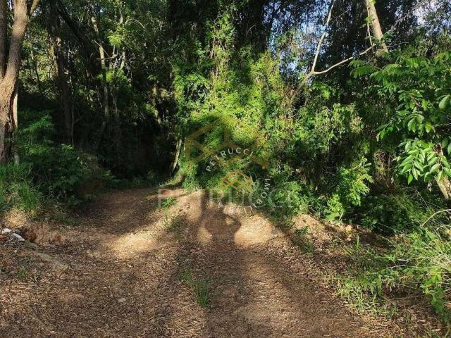 Terreno / Lote para Venda em Valinhos/SP Dois Córregos